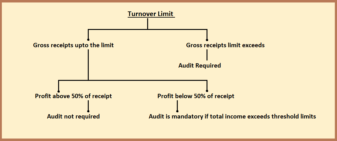 Tax Audit Due Date: Threshold for Businesses and Professions - Tax Guide